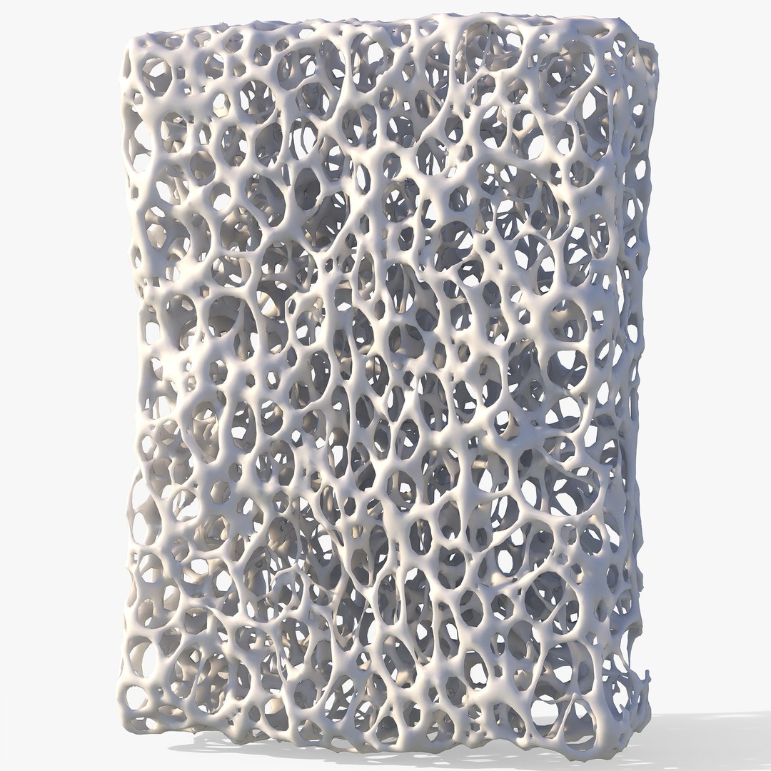 3D Model Bone Structure Sponge - TurboSquid 1823021
