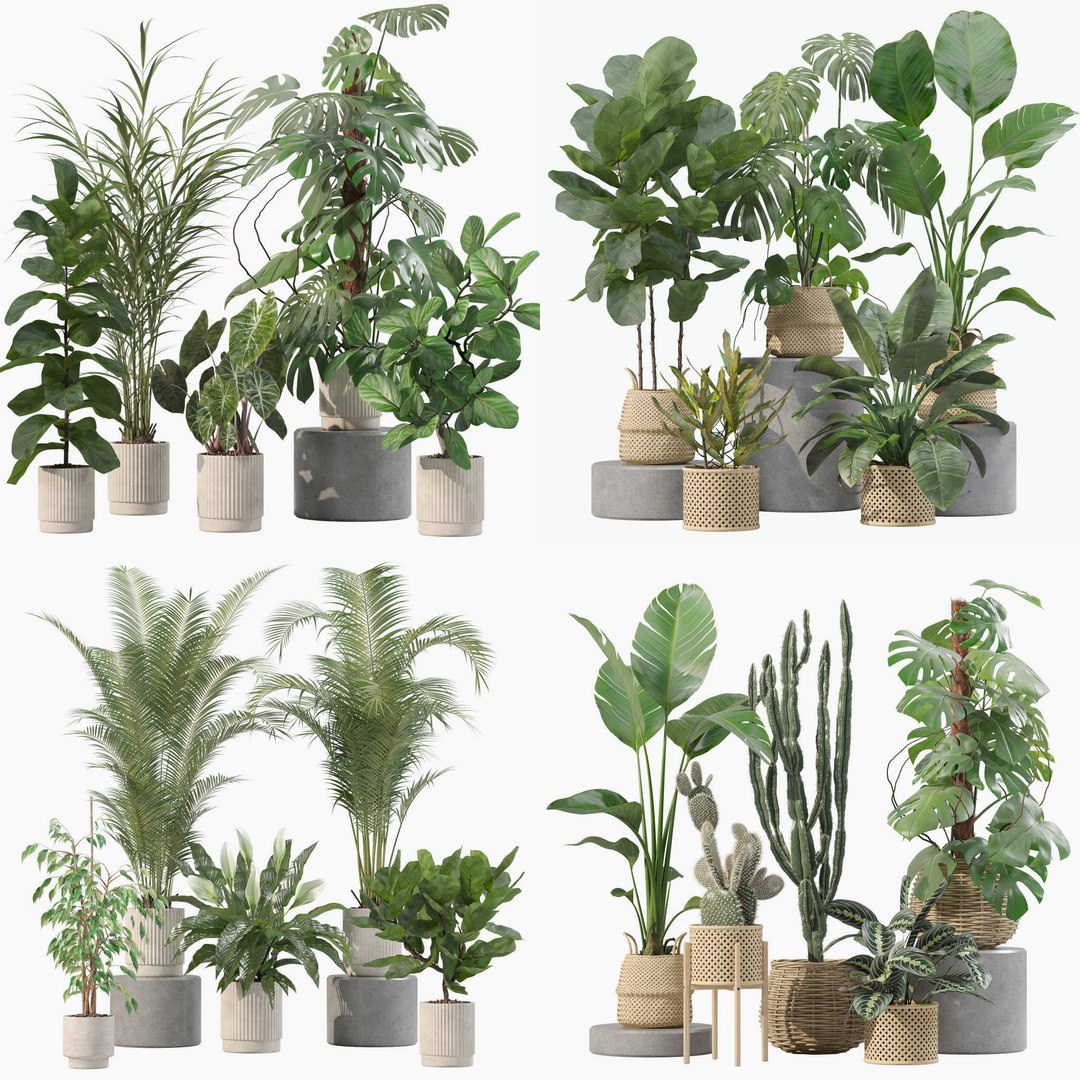 20 Photorealistic Flowers For Interiors - Set 202 209 211 213 3D Model ...