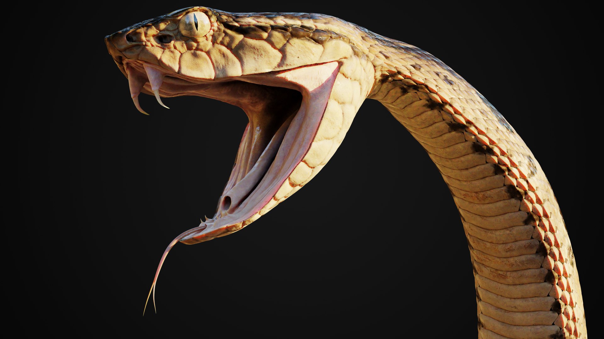 3D Model Realistic Snake - TurboSquid 1277884