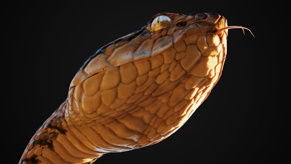 3D model realistic snake - TurboSquid 1277884