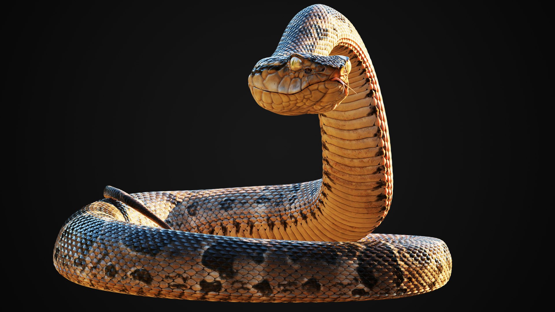 3D Model Realistic Snake - TurboSquid 1277884