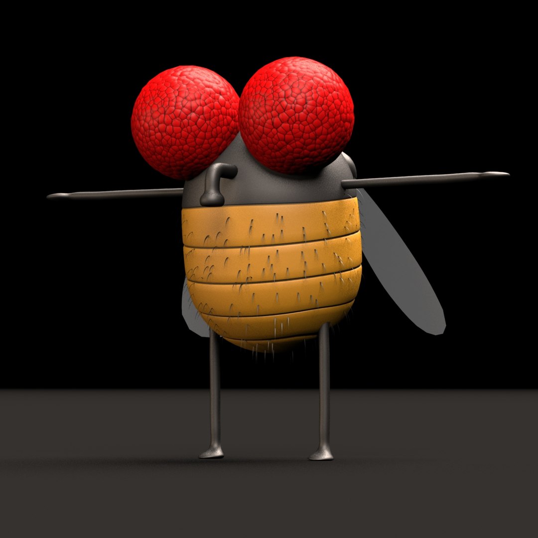 Free 3D Model Fly Rig - TurboSquid 1182393
