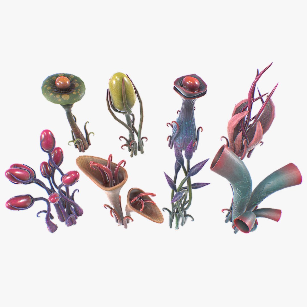 Alien Plant Collection Model - TurboSquid 2381238