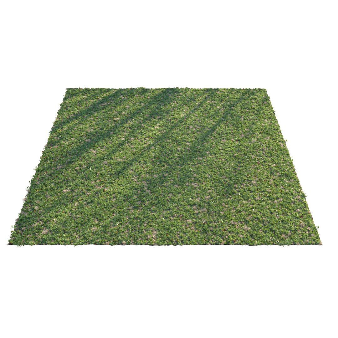 3D Patchy Green Grass Corona Scatter Model - TurboSquid 2332321