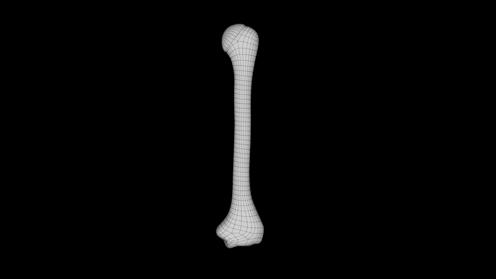Human Anatomy-skeletal System-Humerus Upper Limb 3D Model - TurboSquid ...