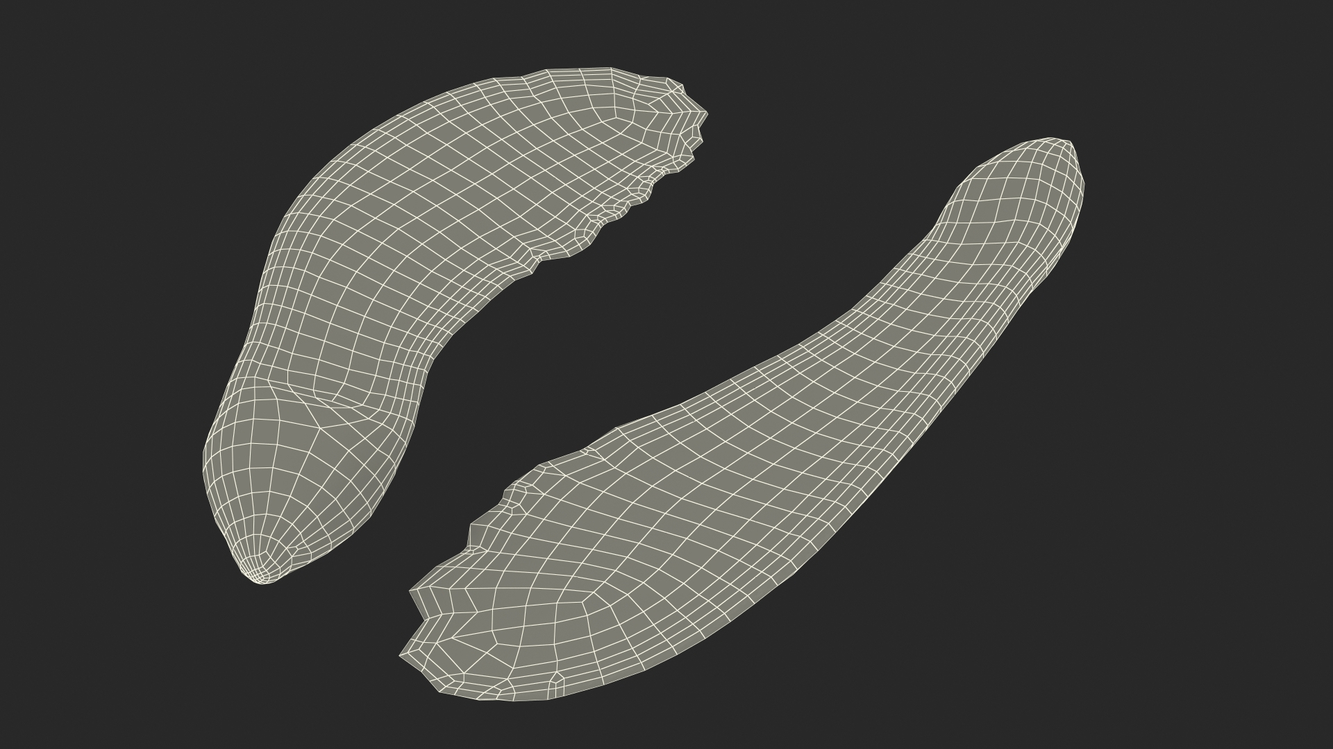 3D Dry Maple Seeds Model - TurboSquid 1839184