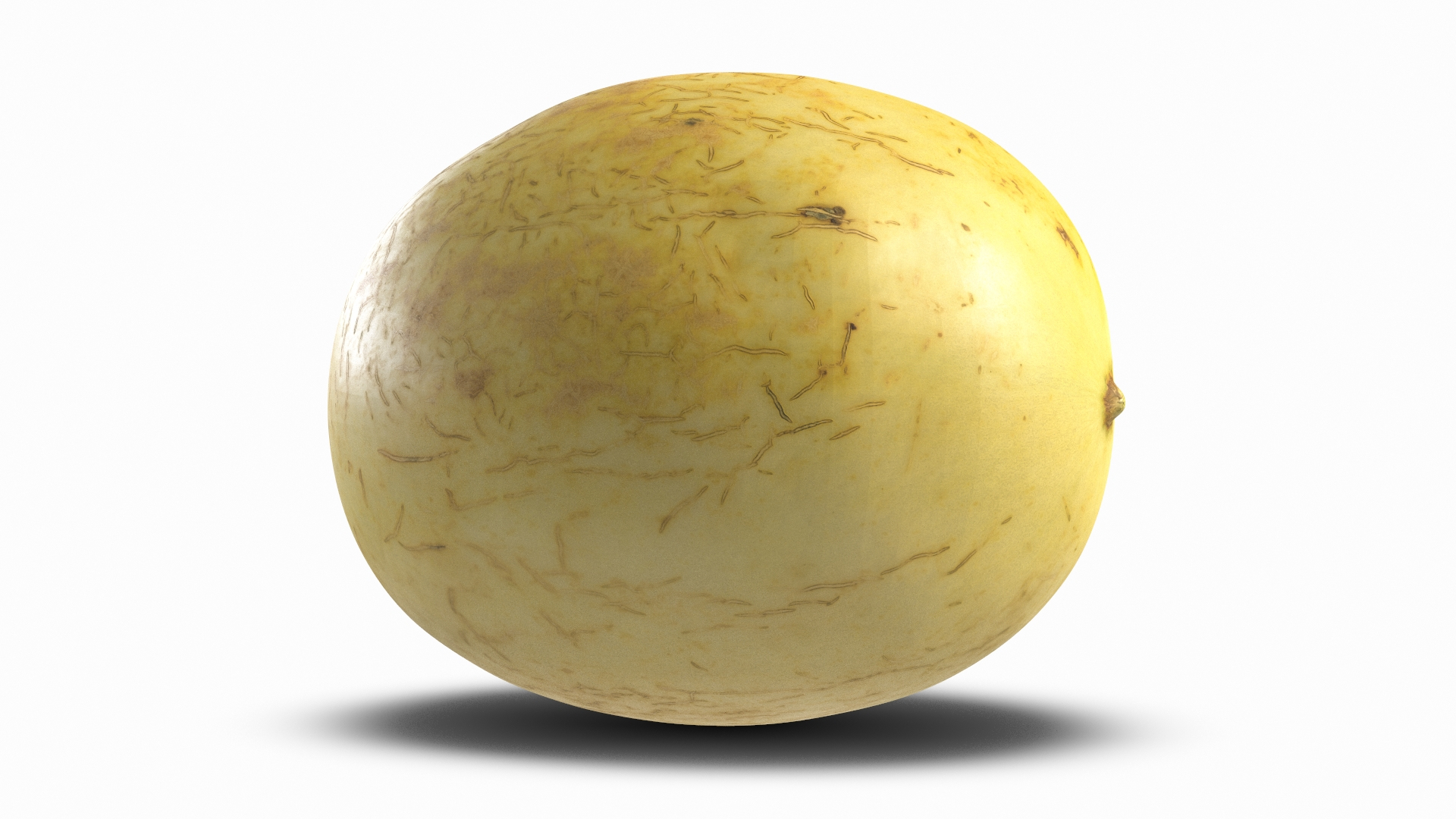 Melon V-ray 3D Model - TurboSquid 1711500
