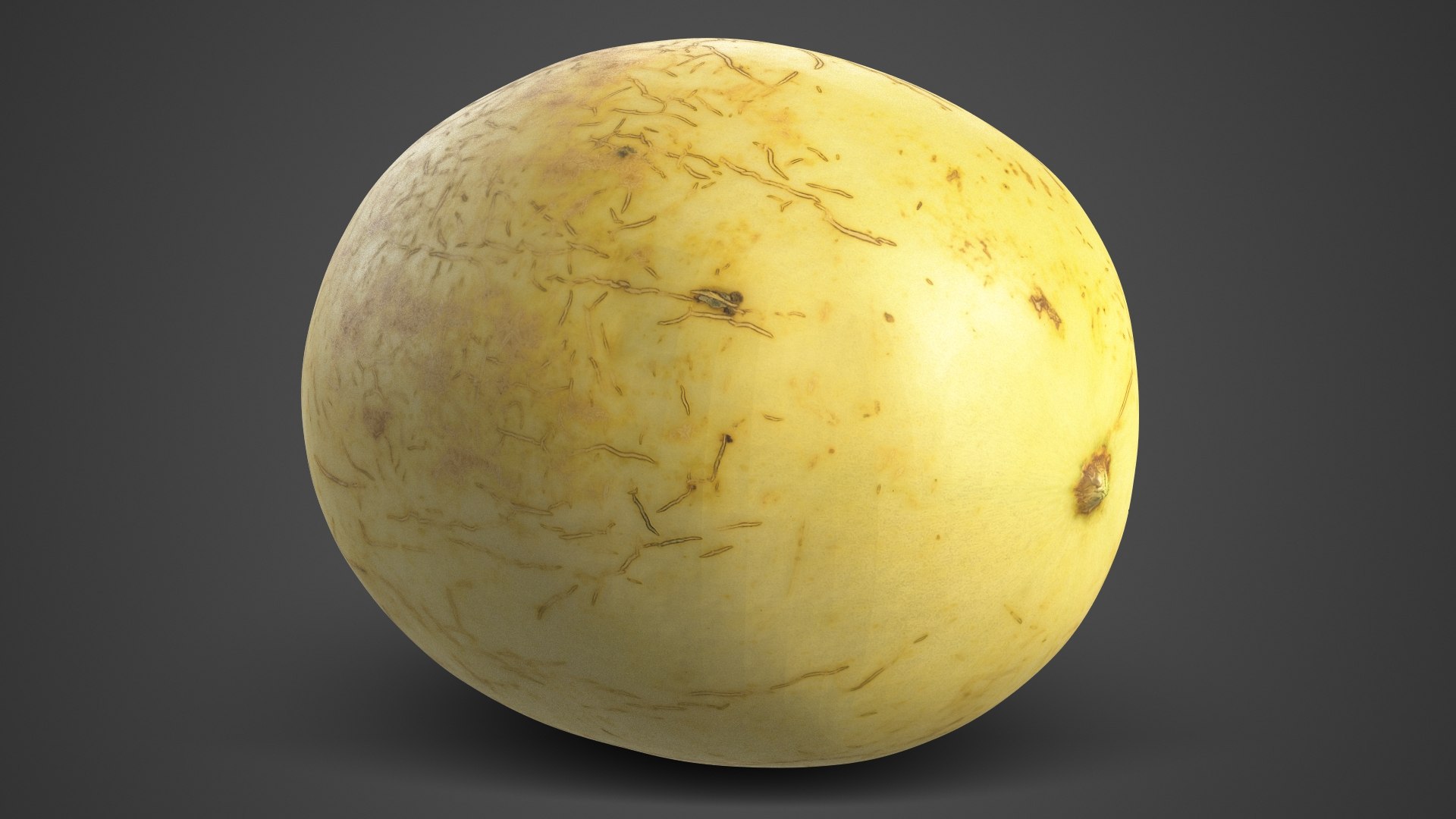 Melon v-ray 3D model - TurboSquid 1711500