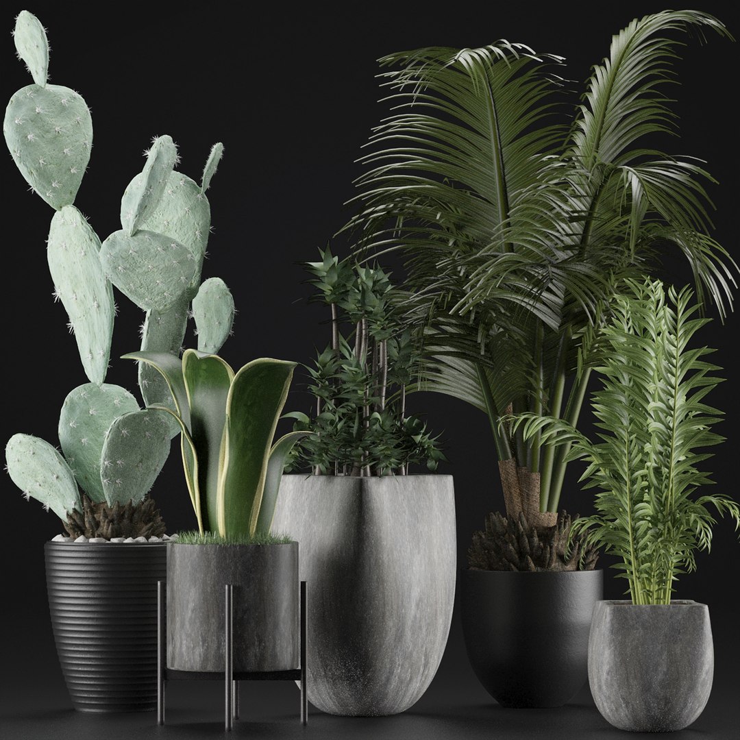 3D model plants 21 - TurboSquid 1591911
