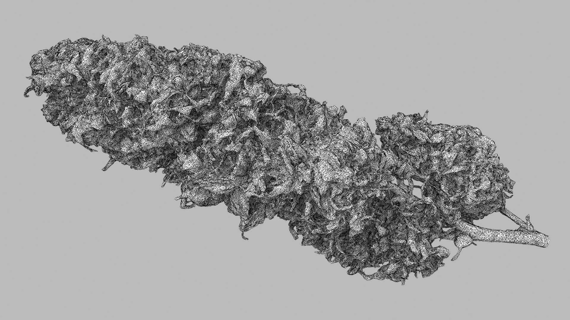 Cannabis Cola Model - TurboSquid 1712488