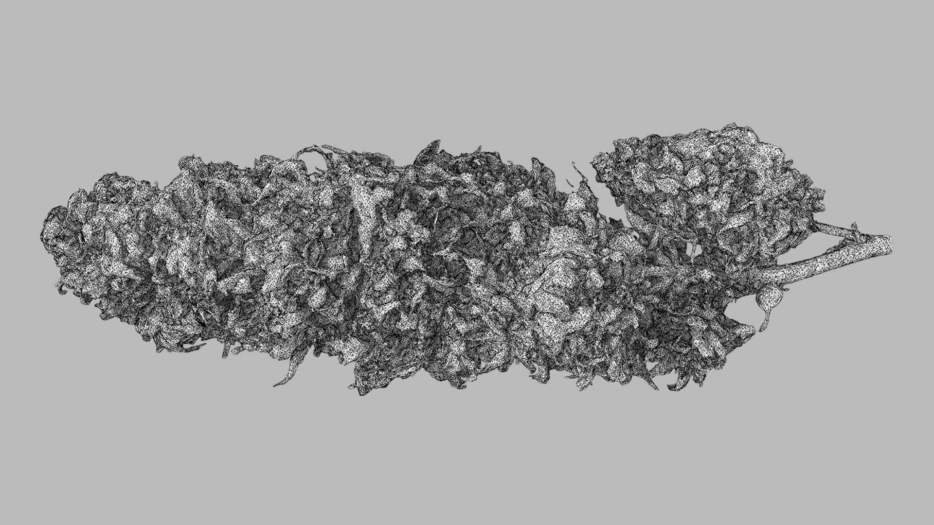 Cannabis Cola Model - TurboSquid 1712488