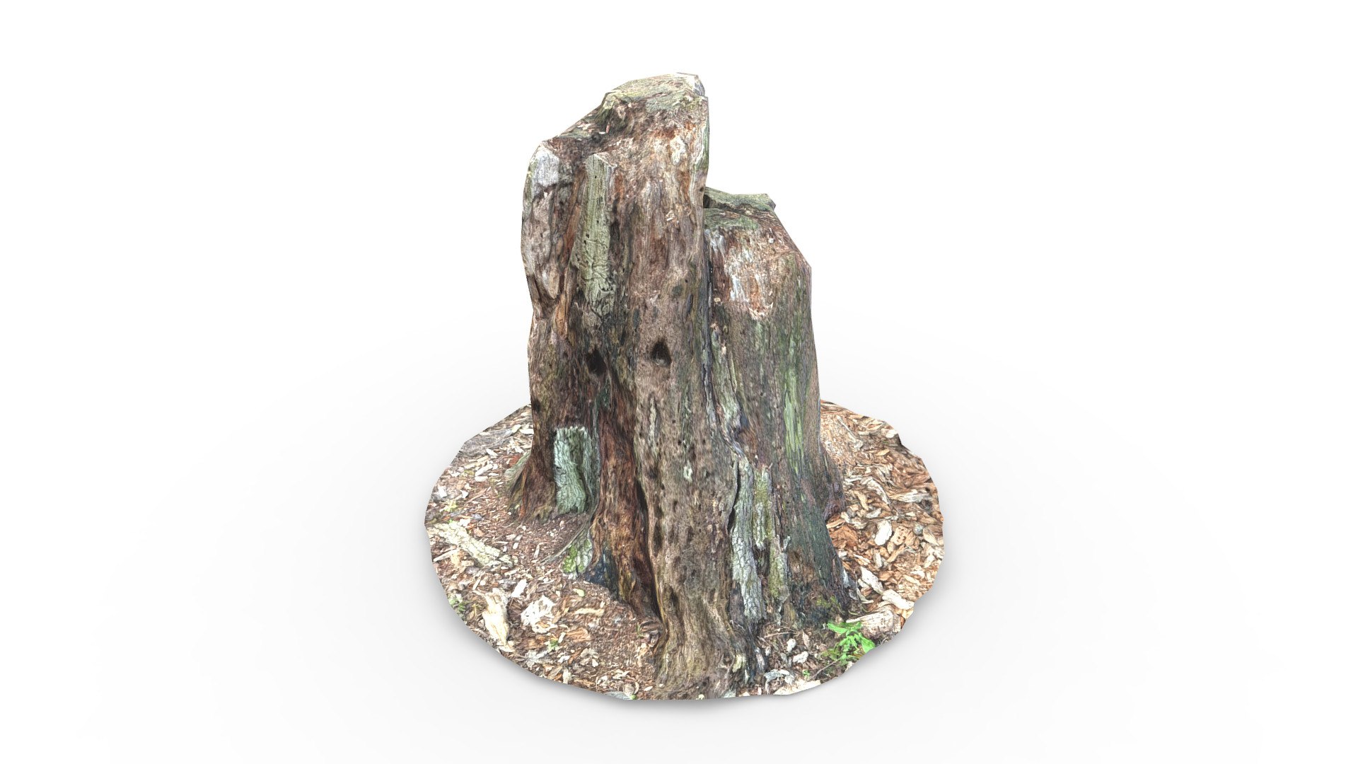 Tree Trunk 3D model - TurboSquid 1732143
