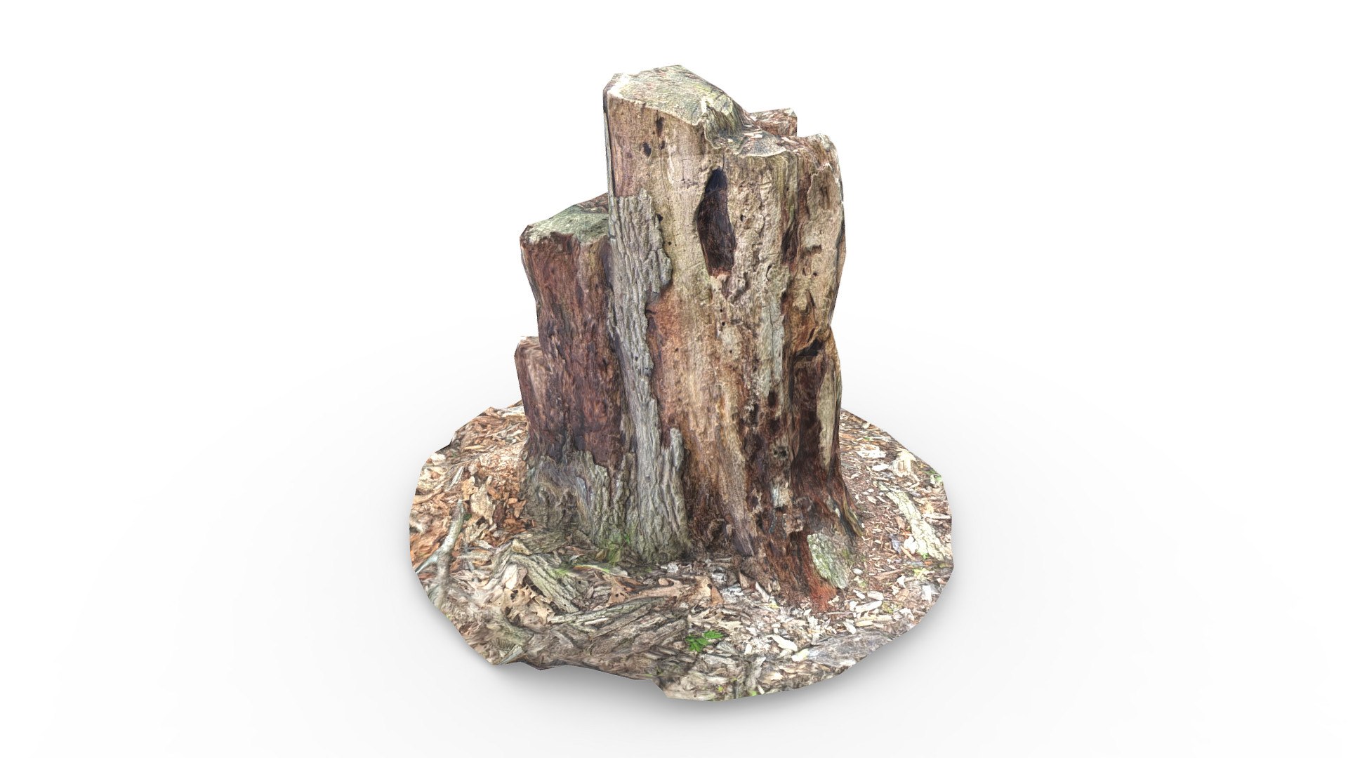 Tree Trunk 3D model - TurboSquid 1732143