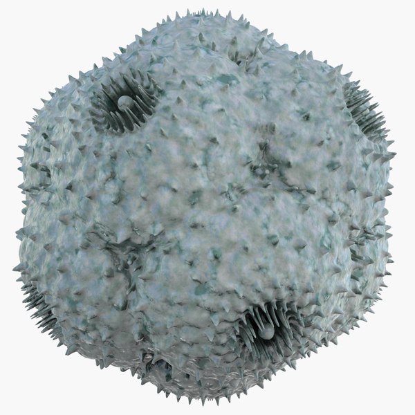 micro object mht max