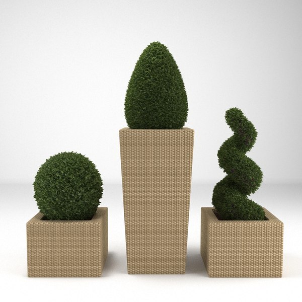 3D модель Коллекция Box Scrub - TurboSquid 915352