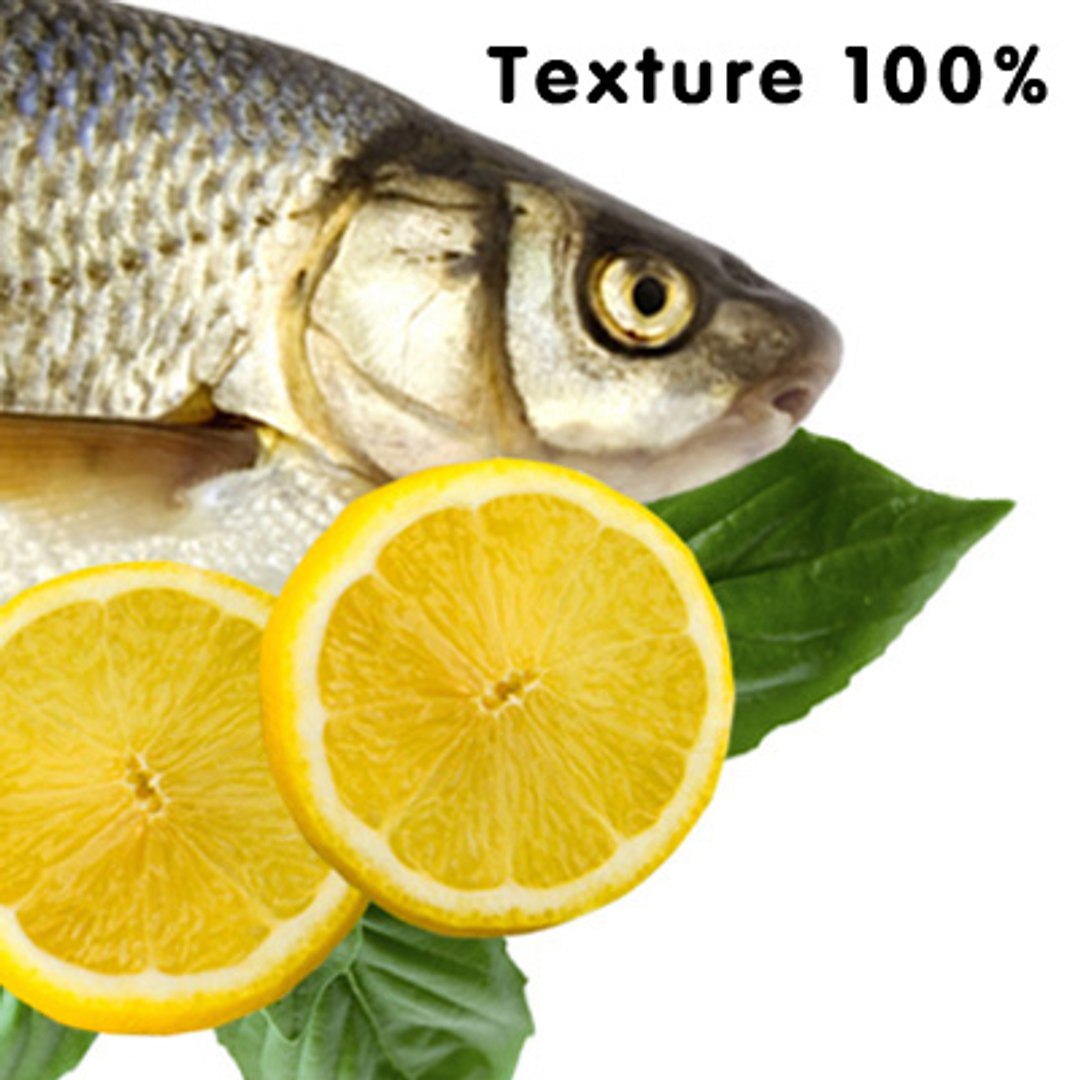 3d Fish Plate