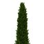 3d Cypress Tree 2 Model