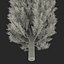 3d Cypress Tree 2 Model