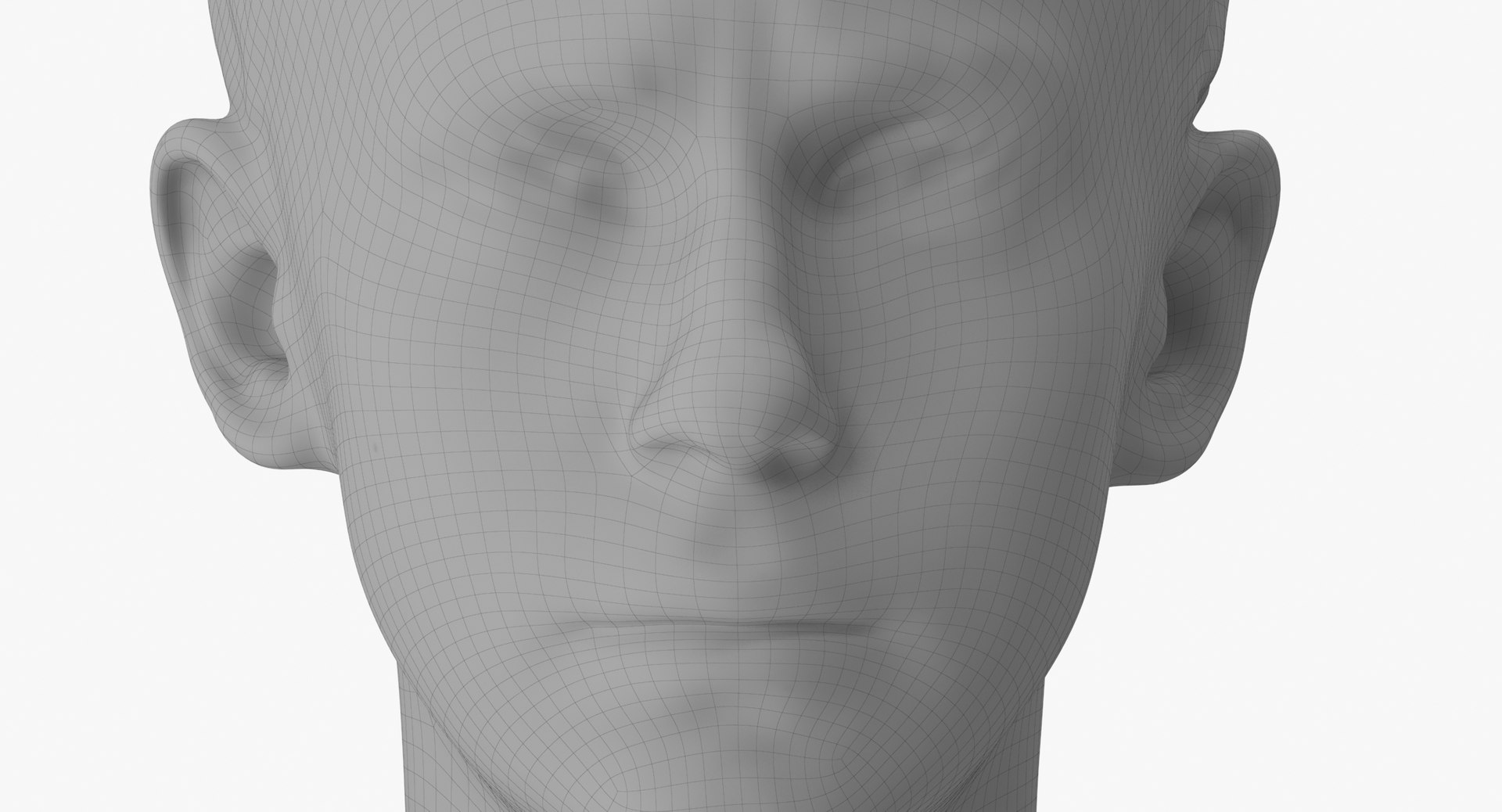 Rhea Human Head Inner 3D - TurboSquid 1662894