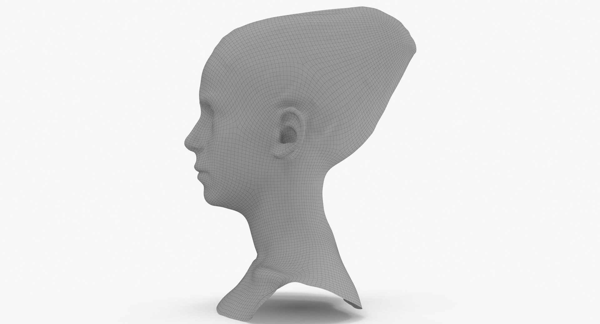 Rhea Human Head Inner 3D - TurboSquid 1662894