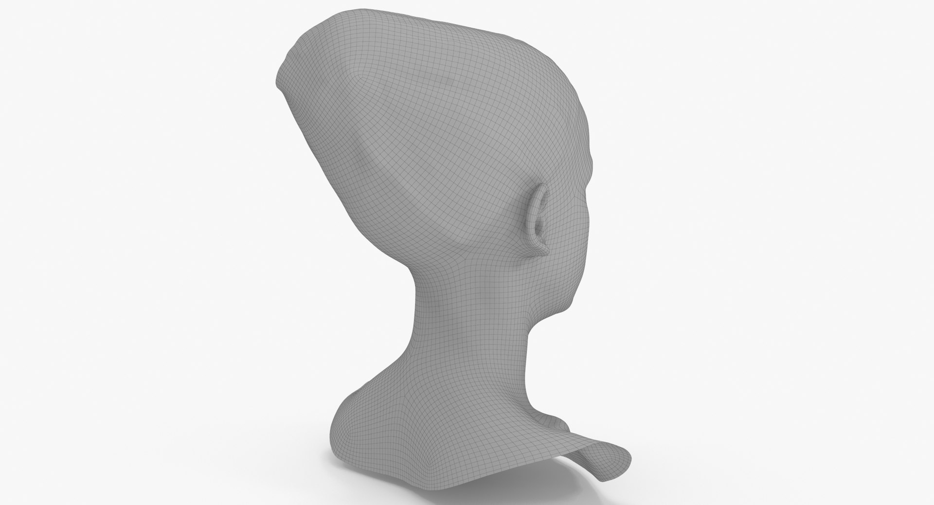 Rhea Human Head Inner 3D - TurboSquid 1662894