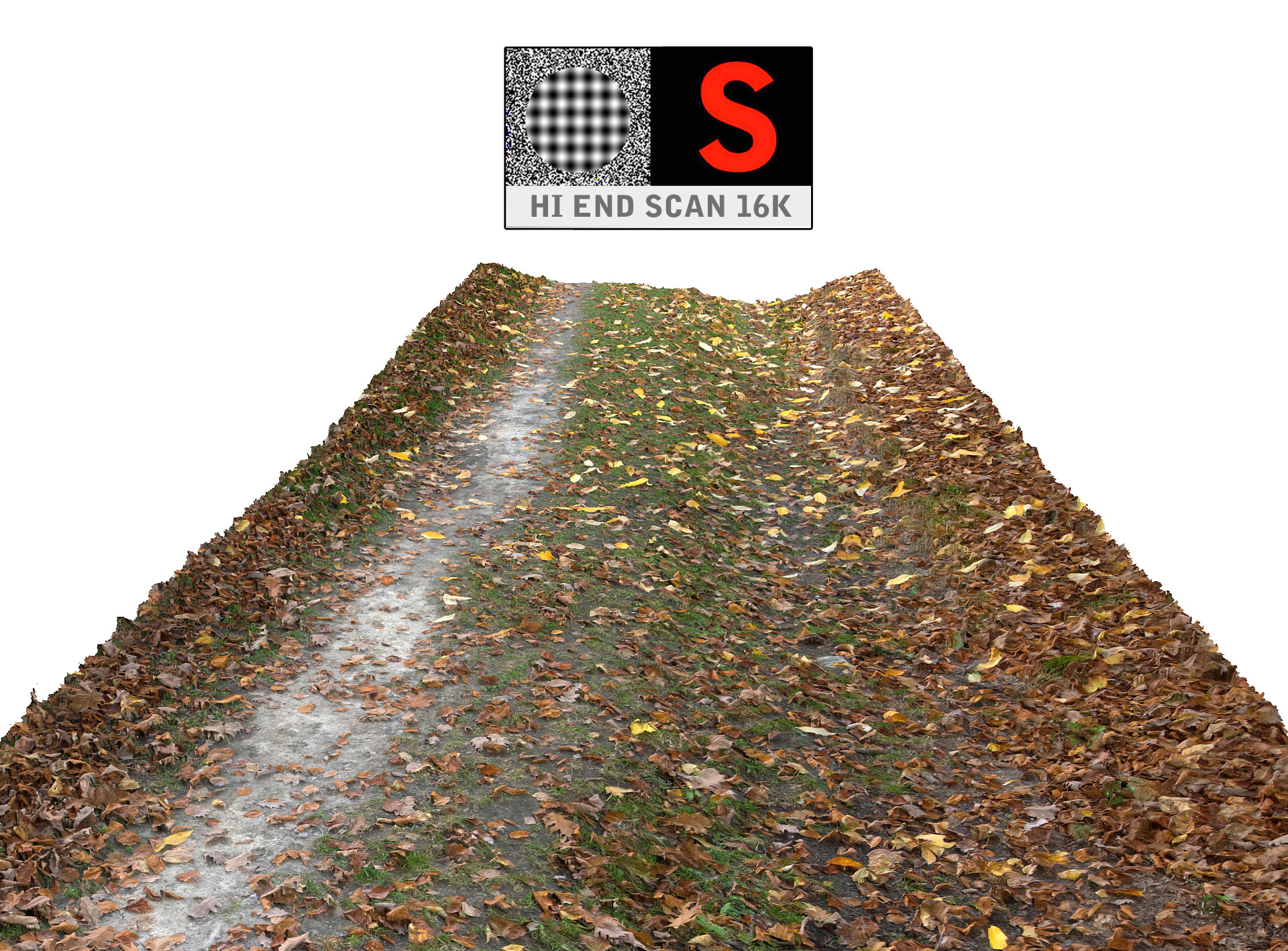 3d model autumn road scanned