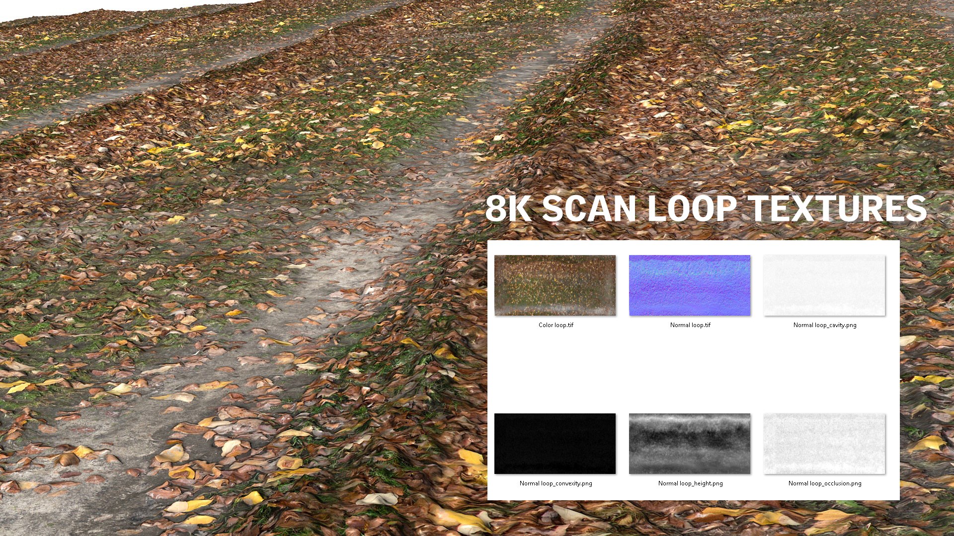 3d Model Autumn Road Scanned