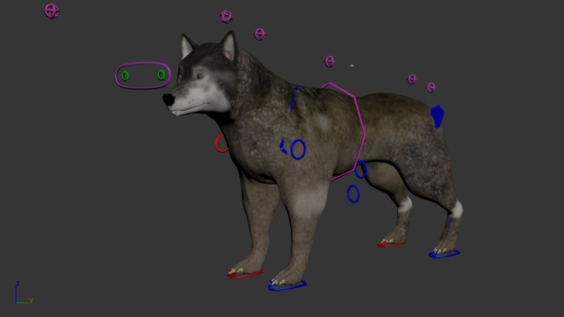 Wolf Rigged 3D Model - TurboSquid 1175977