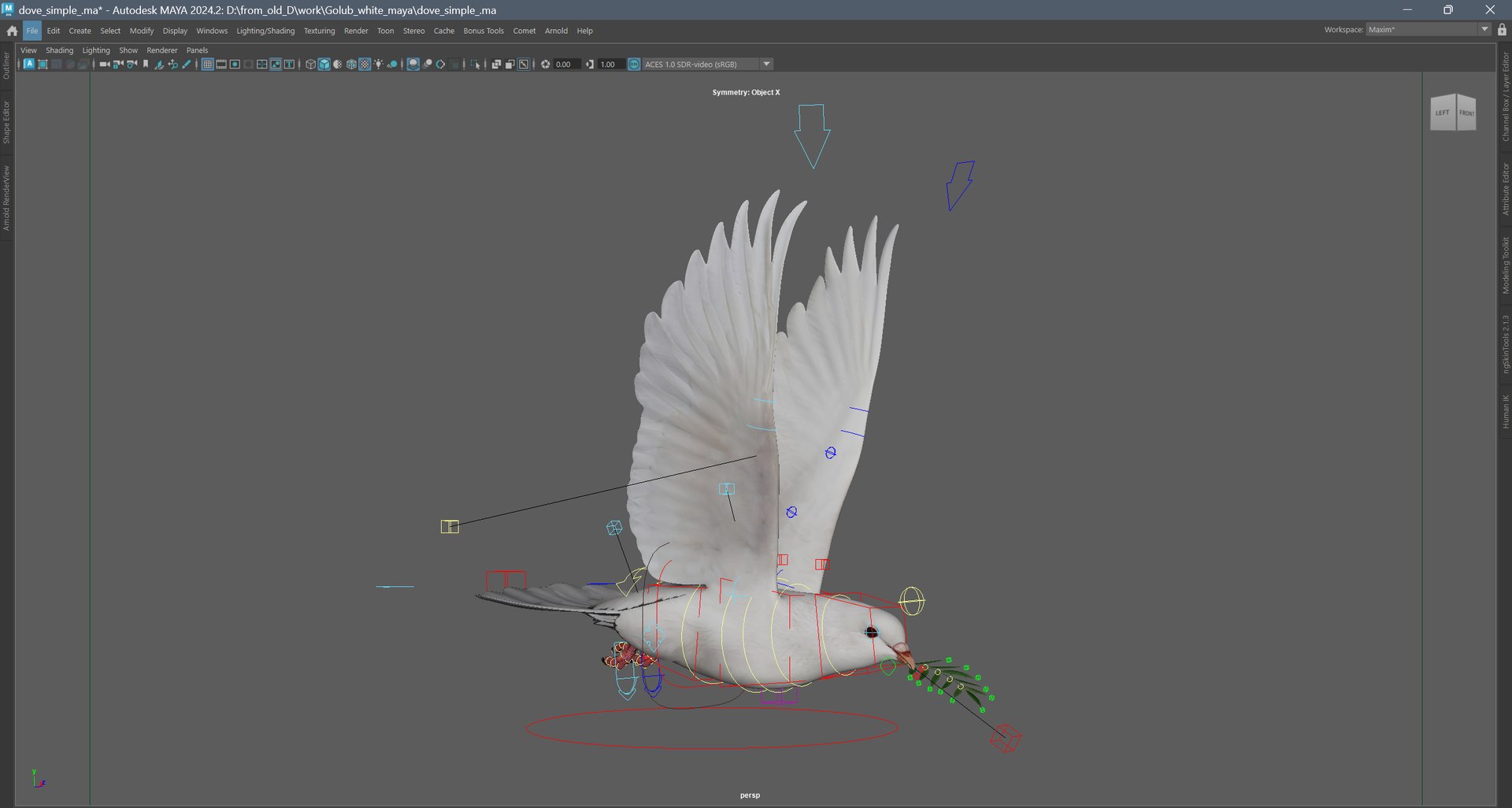 3D Dove Flying Model - TurboSquid 2345716