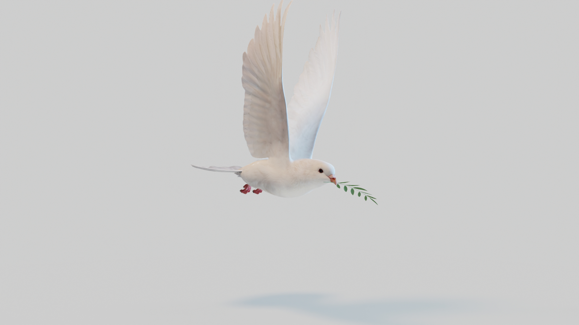 3D Dove Flying Model - TurboSquid 2345716