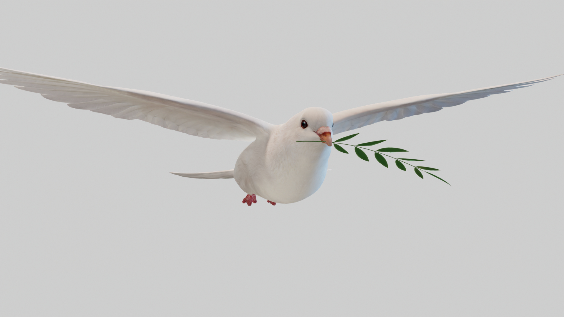 3D Dove Flying Model - TurboSquid 2345716