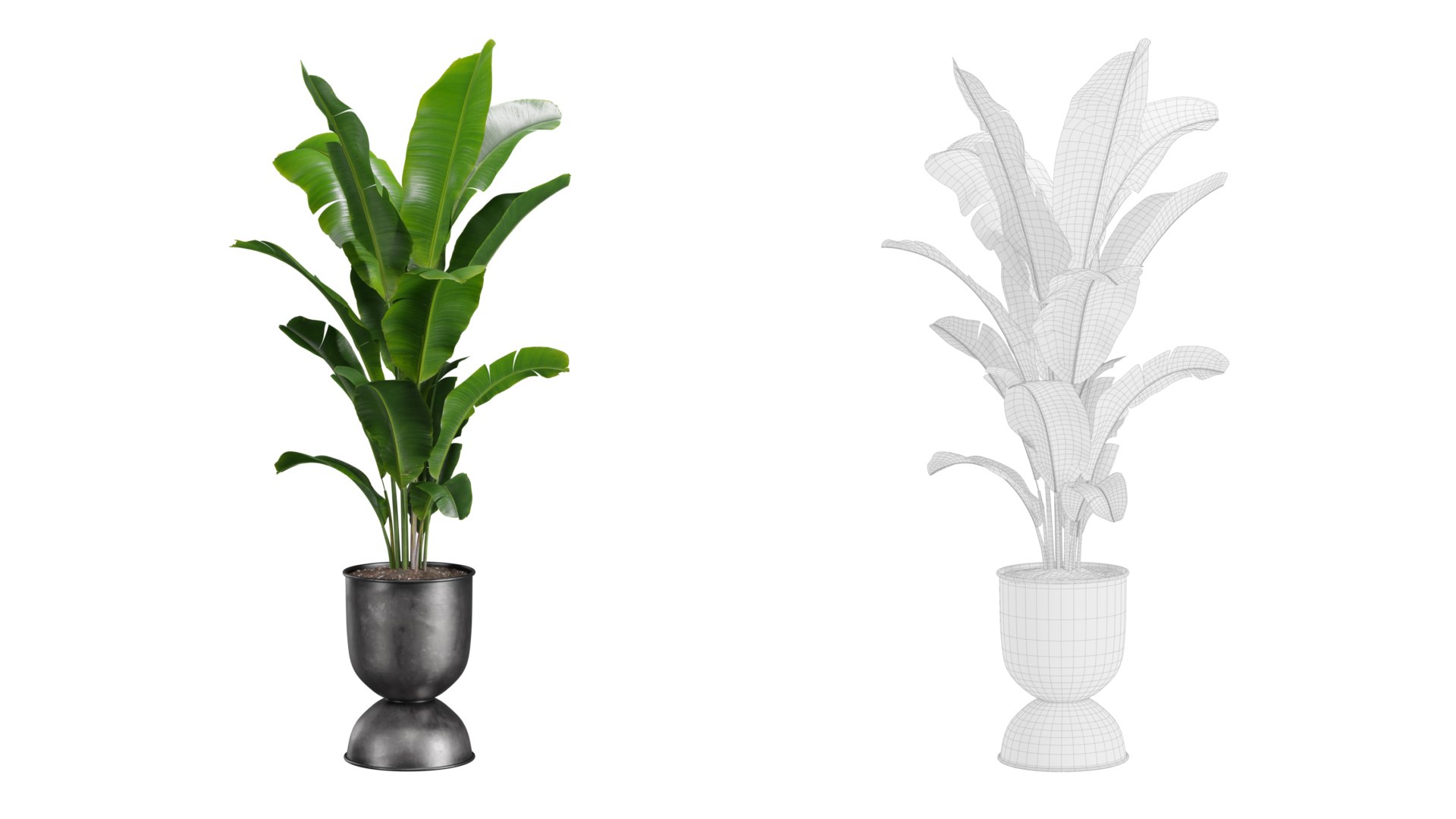 3D Indoor Plants Pack 40 - TurboSquid 2023669