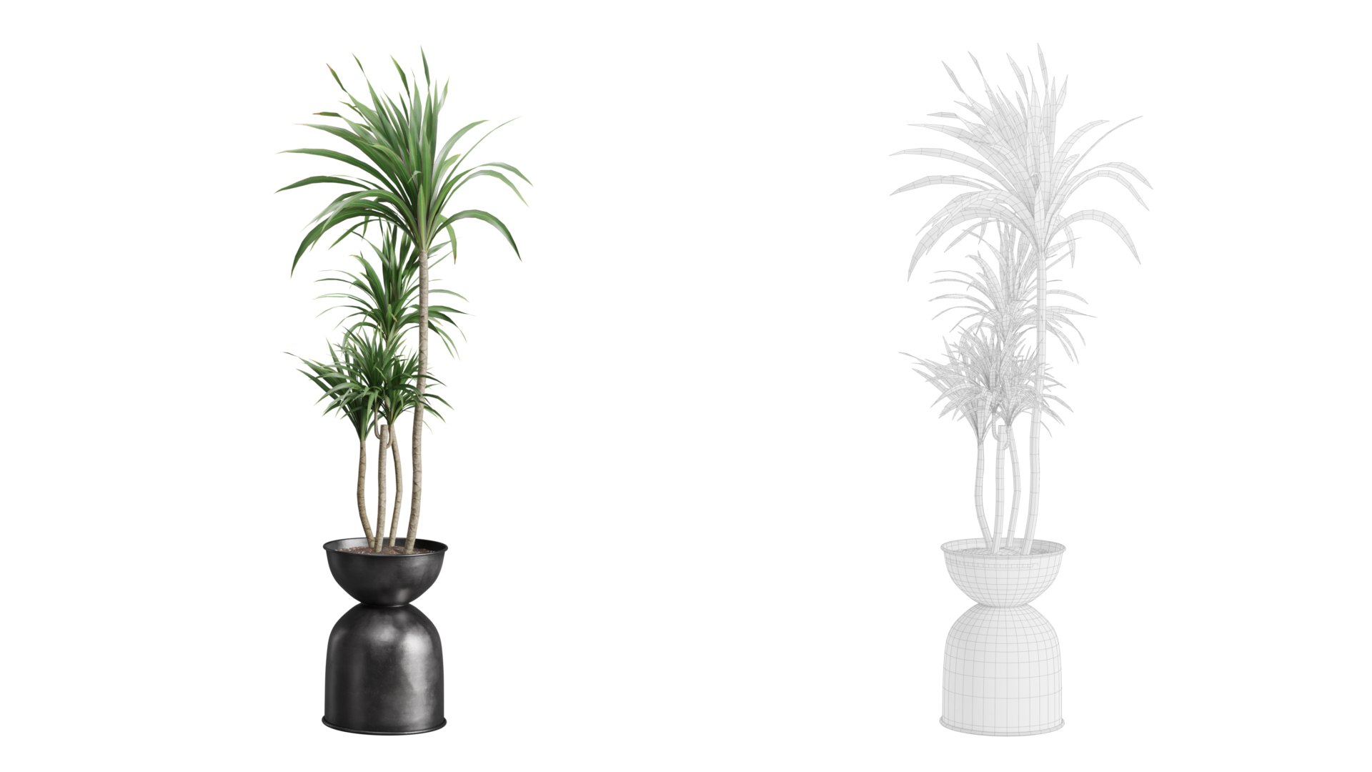 3D Indoor Plants Pack 40 - TurboSquid 2023669