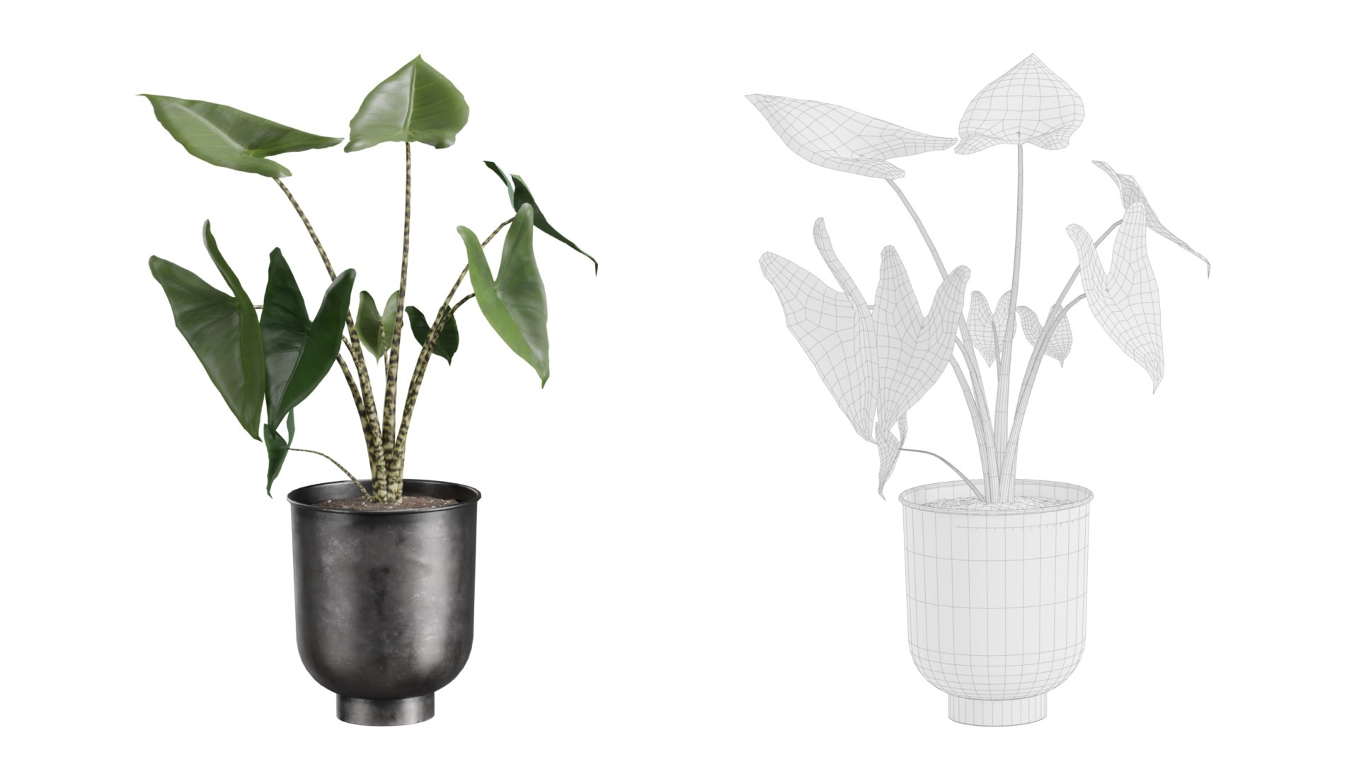 3D Indoor Plants Pack 40 - TurboSquid 2023669