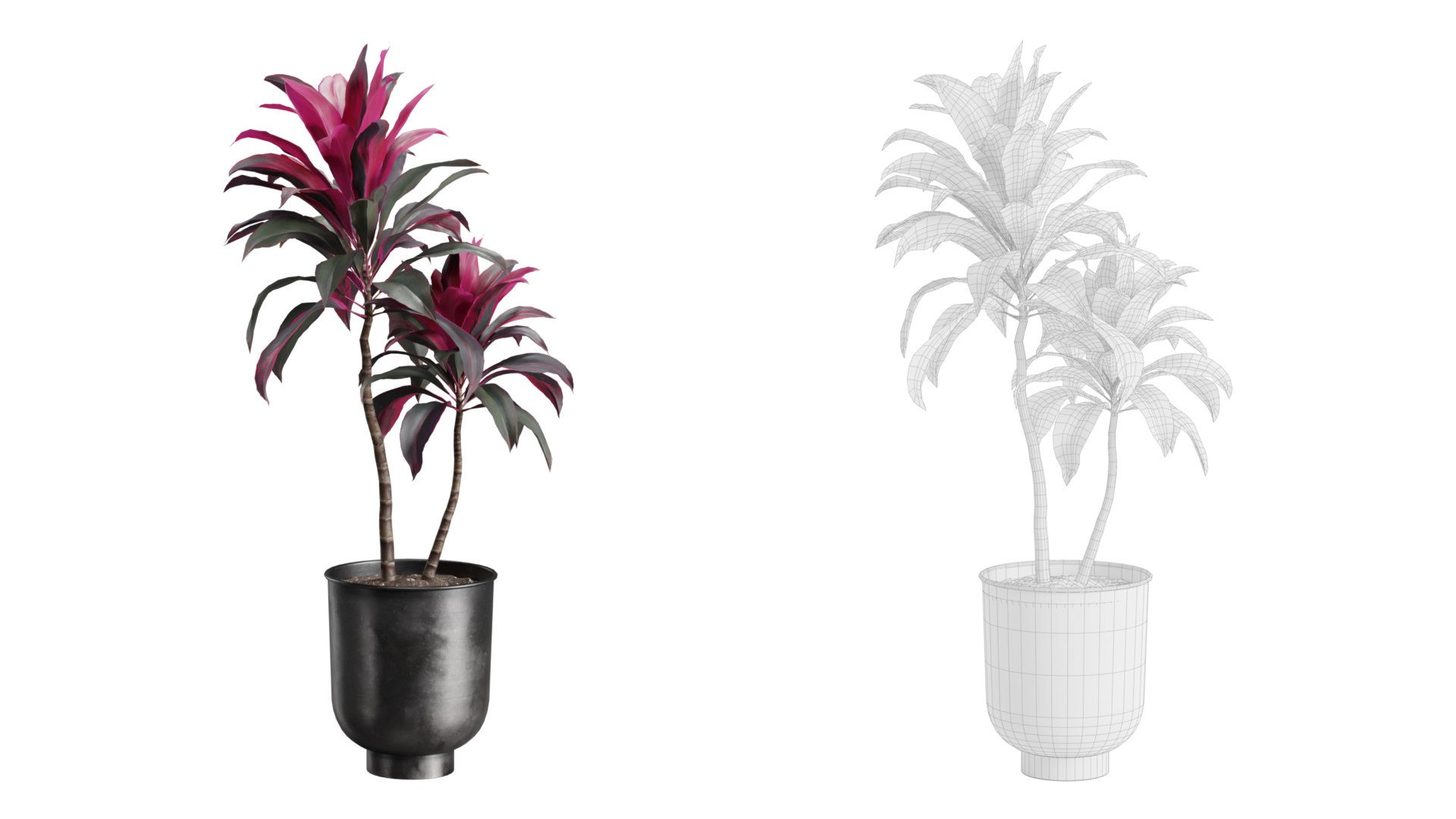 3D Indoor Plants Pack 40 - TurboSquid 2023669