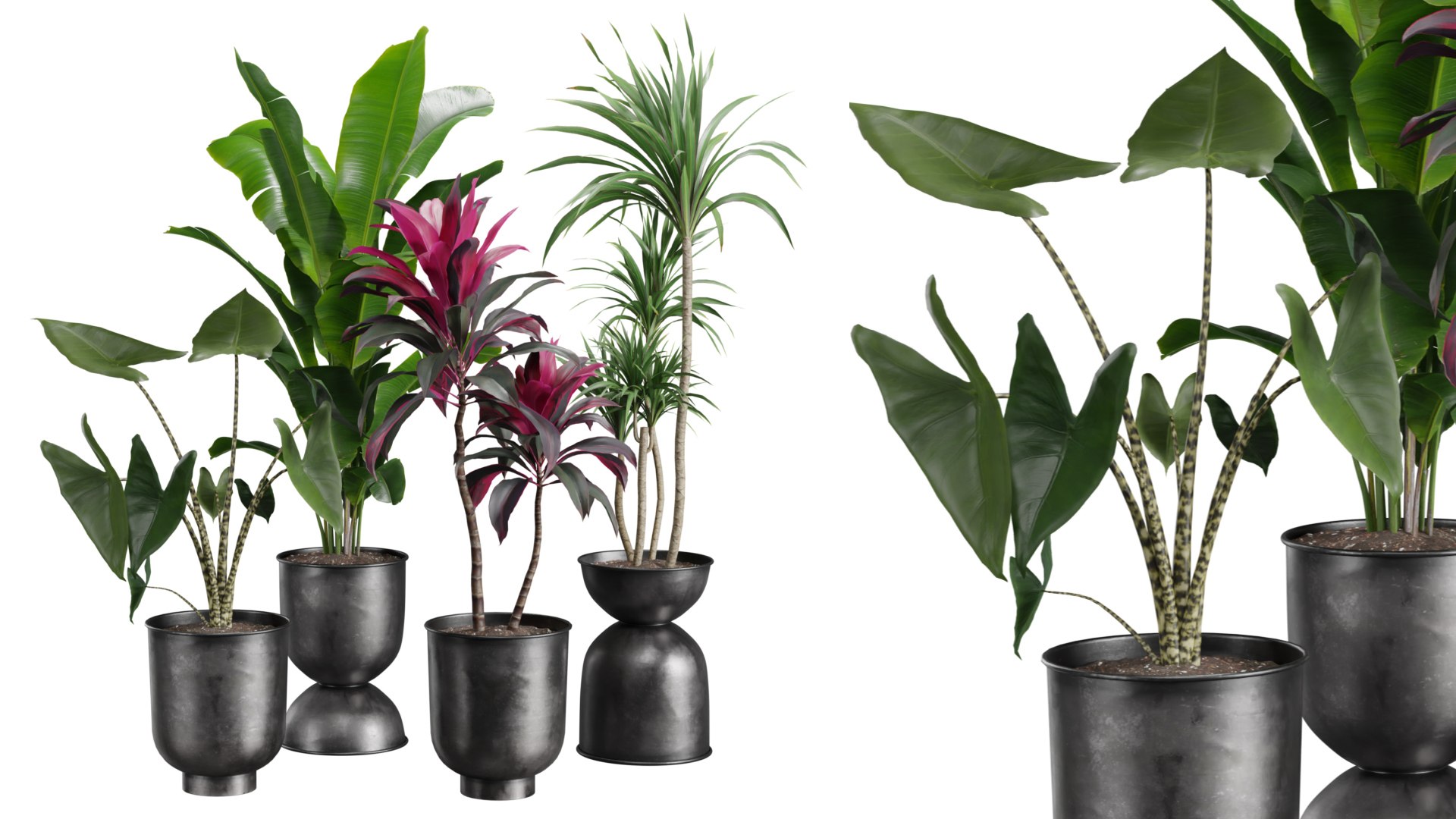 3D Indoor Plants Pack 40 - TurboSquid 2023669