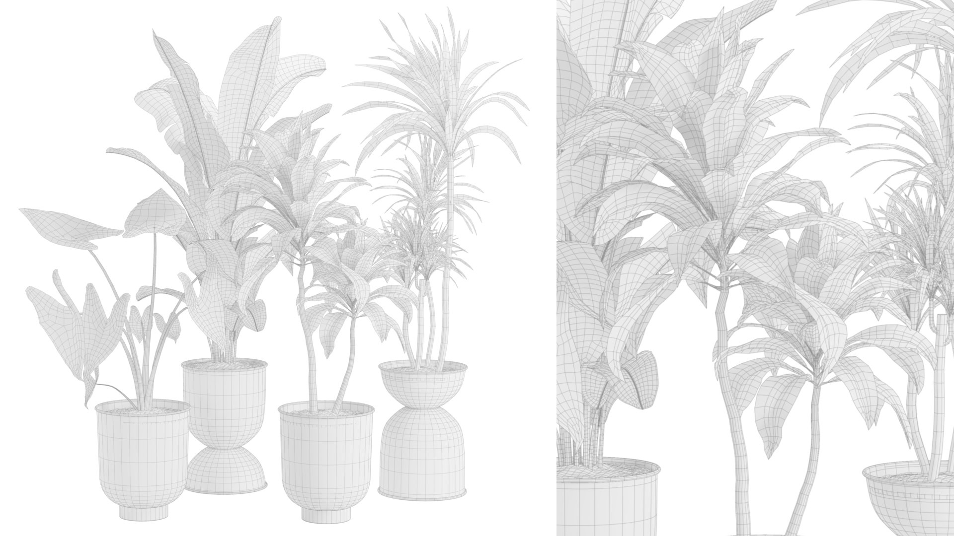 3D Indoor Plants Pack 40 - TurboSquid 2023669