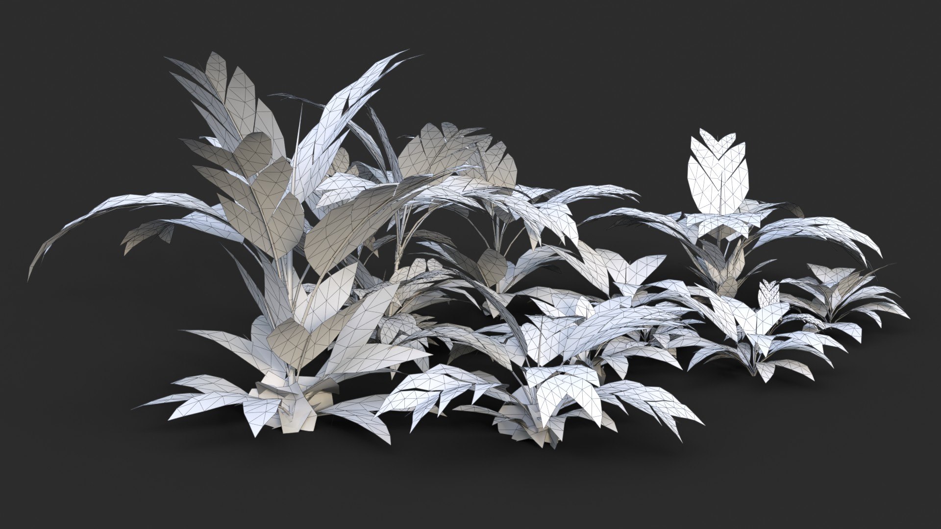 Modular Tasi Palm Trees - Geonoma Baculifera 3D Model - TurboSquid 2163884