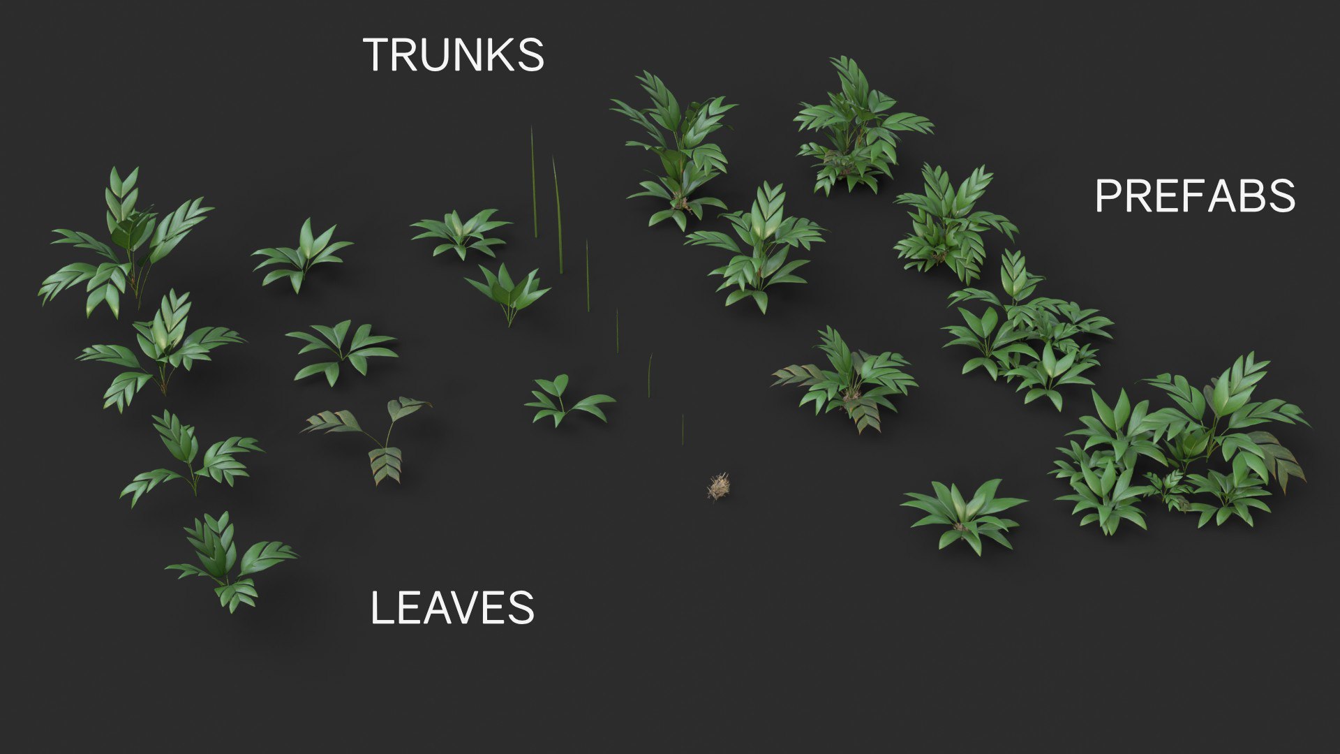 Modular Tasi Palm Trees - Geonoma Baculifera 3D model - TurboSquid 2163884