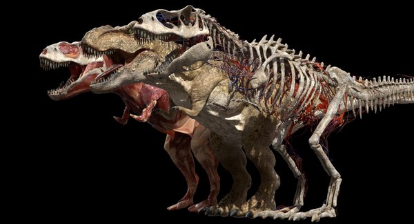 Muscle t rex 3D model - TurboSquid 1386225