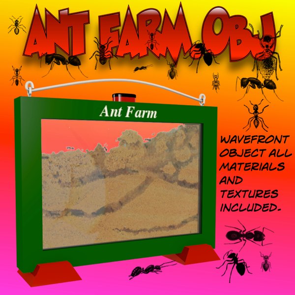 ant farm 3d model