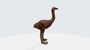 Moa 3D Models for Download | TurboSquid