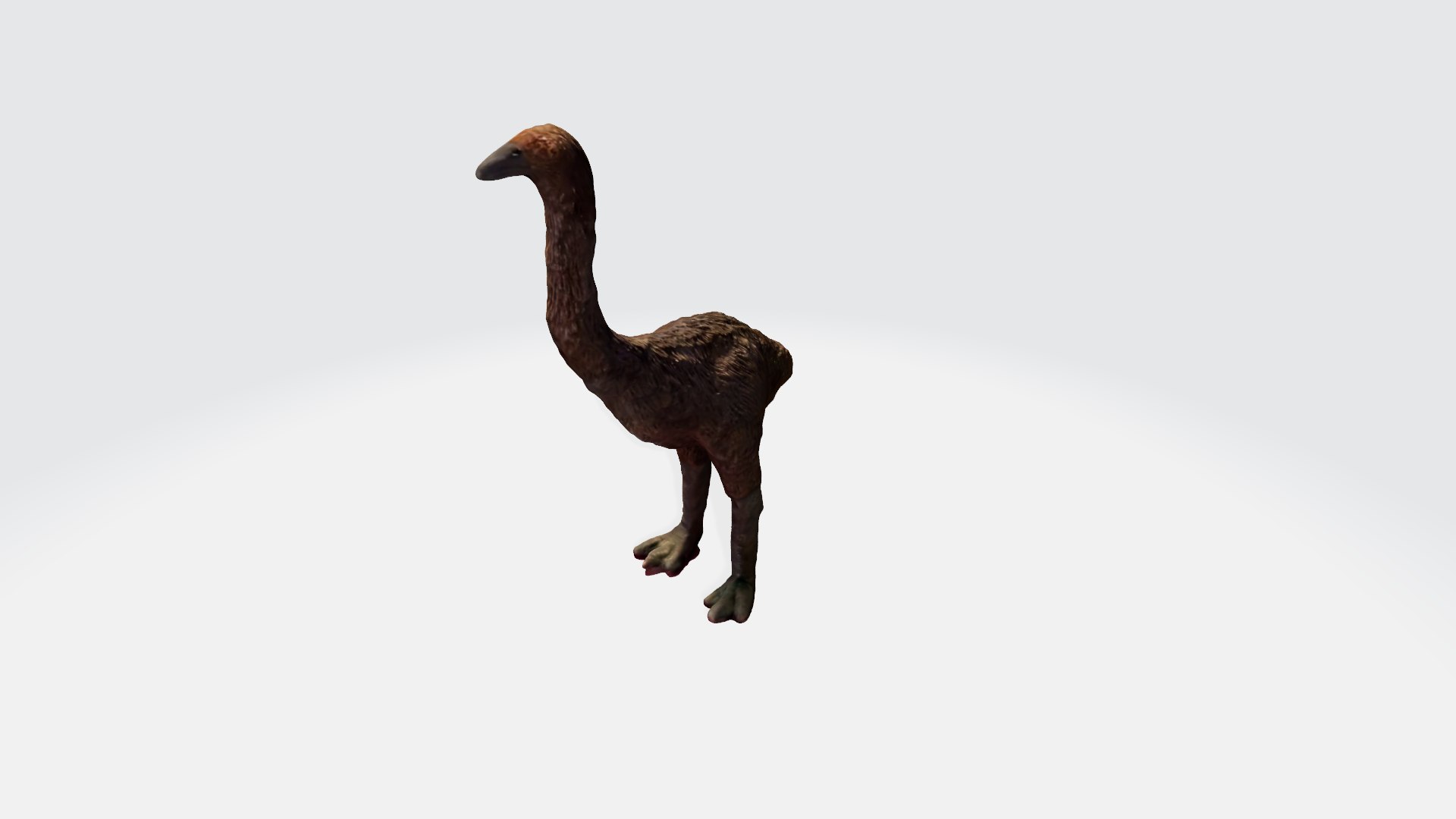 3D Moa Model - TurboSquid 2150639