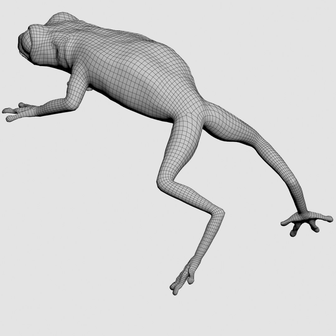 3d Brown Tree Frog Model