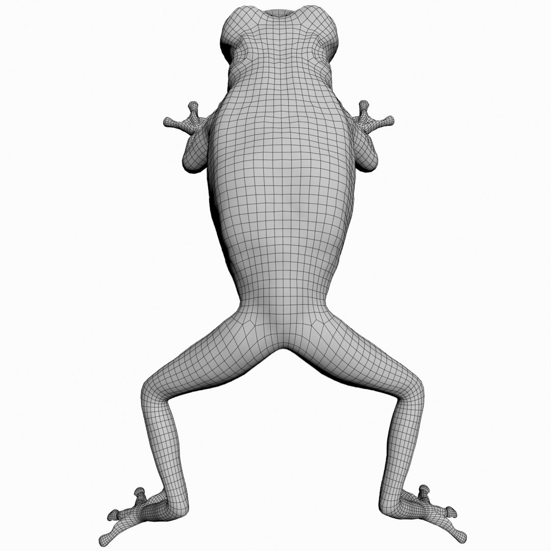3d Brown Tree Frog Model