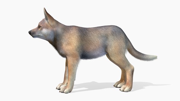 modelo 3d Cachorro de lobo - TurboSquid 2118901