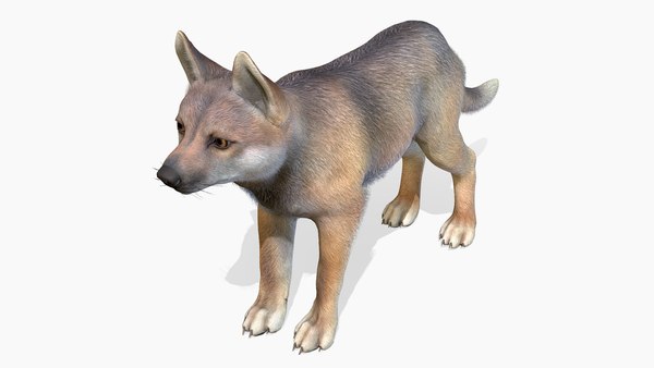 modelo 3d Cachorro de lobo - TurboSquid 2118901
