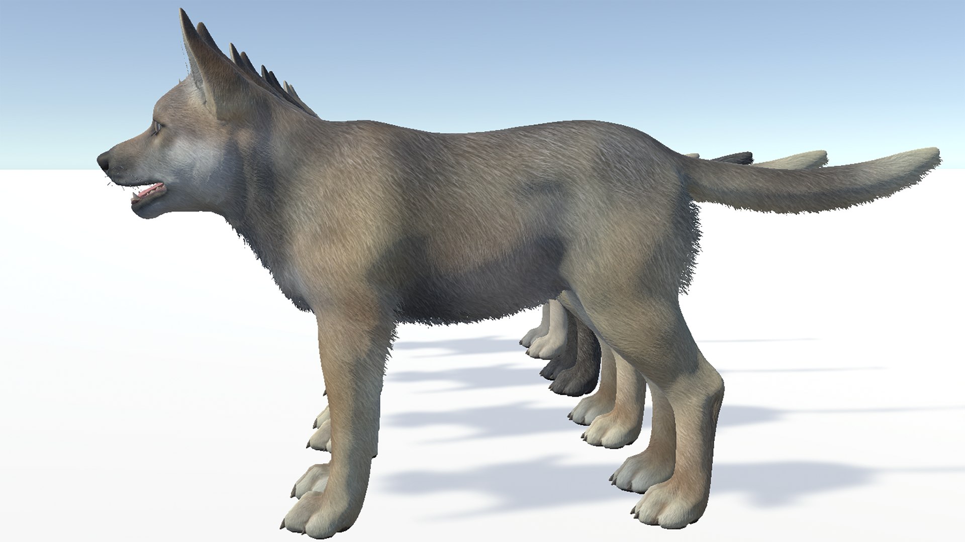 3D Wolf - Cub Model - TurboSquid 2118901