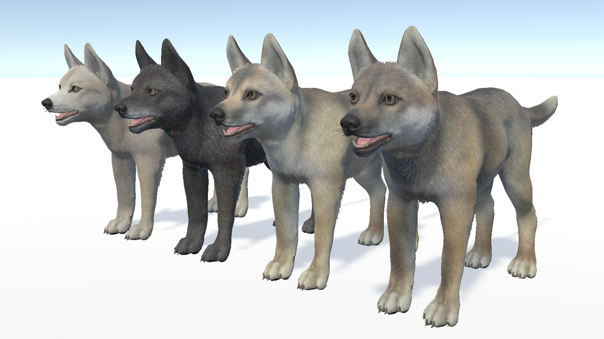 3D Wolf - Cub Model - TurboSquid 2118901