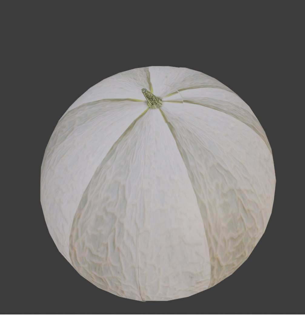 3D Melon Model - TurboSquid 1604504